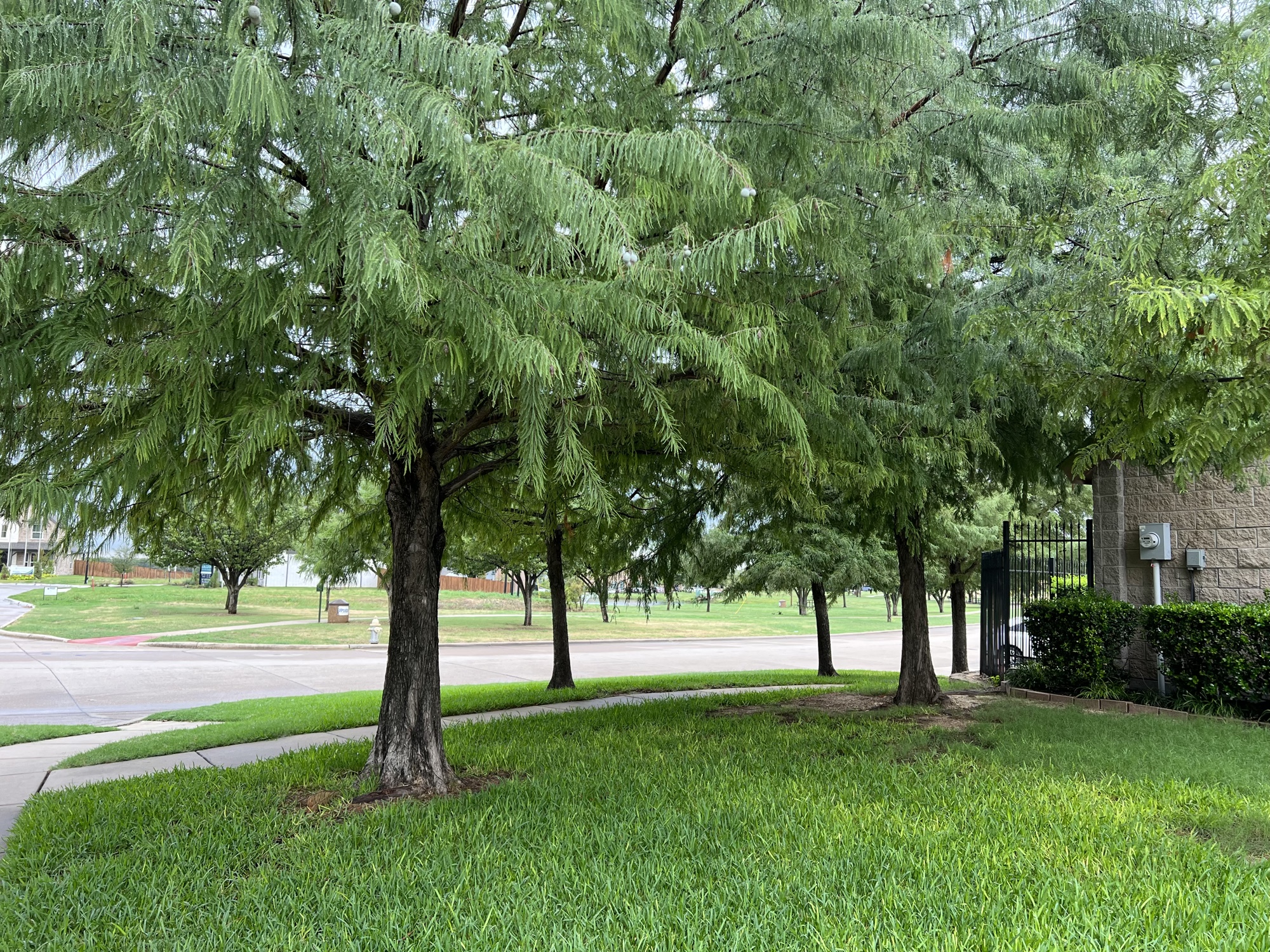 Amenities – Reatta Ridge